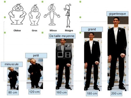 Vocabulaire pour décrire une personne: le portrait physique. - Blog UPE2A
